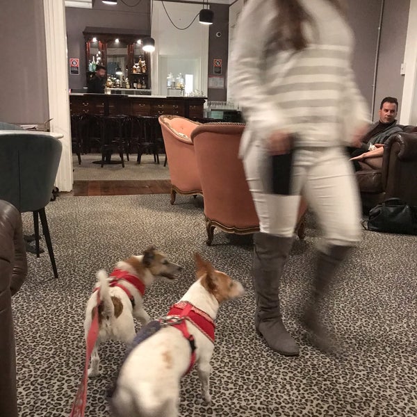 The Hughenden - 1 tip from 97 visitors