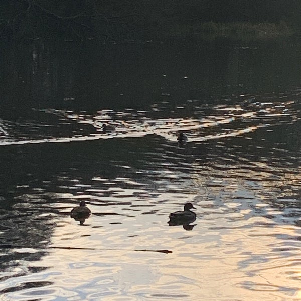 Sherdley Park - St Helens, St. Helens