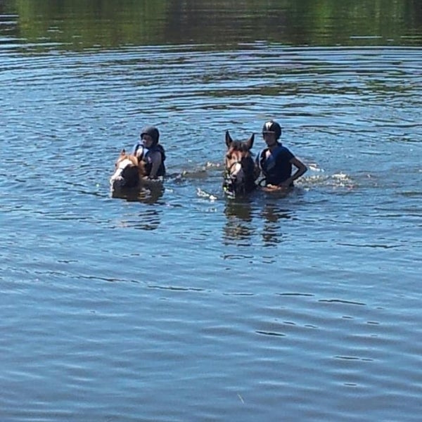 Cornish Riding Holidays, Wheal Buller Riding School, - Equestrian Facility