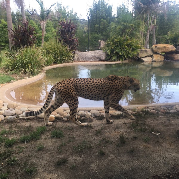 Photos at Symbio Wildlife Park - Zoo