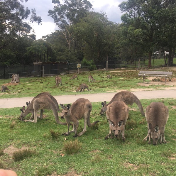 Photos at Symbio Wildlife Park - Zoo