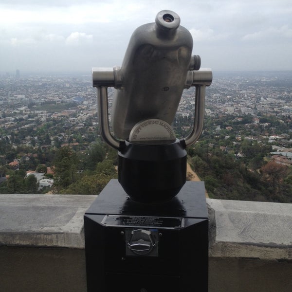 Photos at The George Harrison Tree - 2 tips