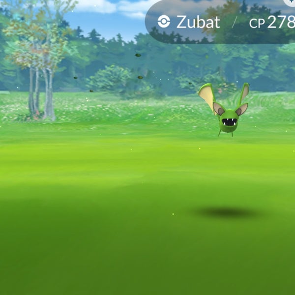 LaVale Library - 12 tips from 58 visitors