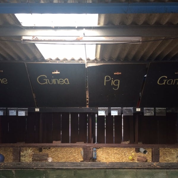 Ash End House Children's Farm - Tamworth, Staffordshire