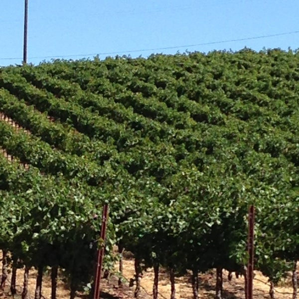 Gregory Graham Wines - Winery in Lower Lake