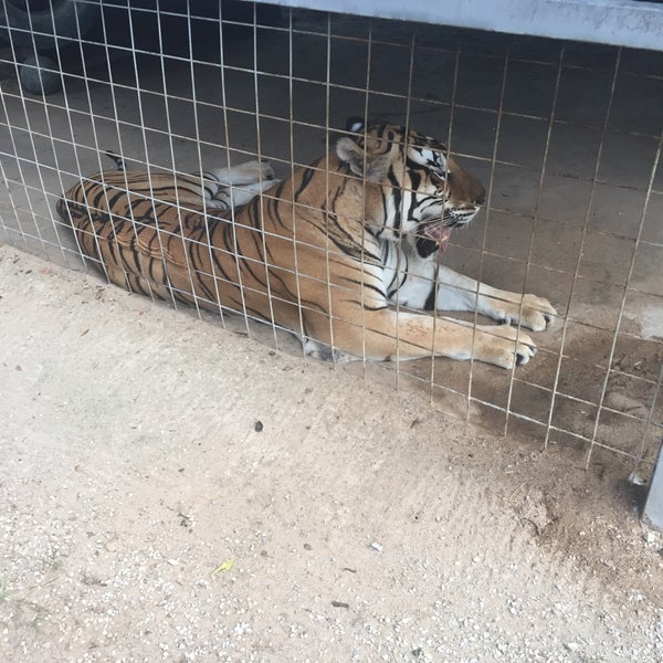 G.W. Exotic Animal Park - Zoo in Wynnewood