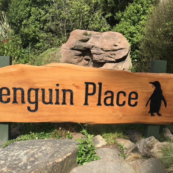 Penguin Place - 3 tips