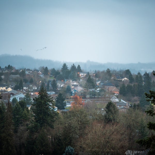 City of Happy Valley - City