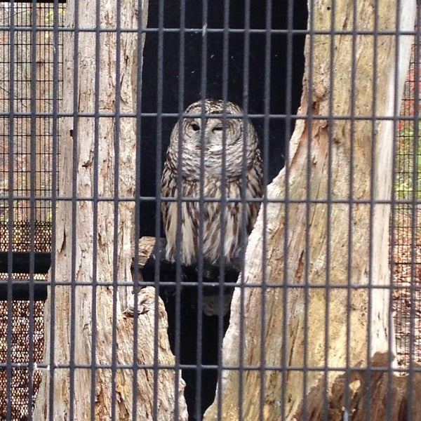 Photos at Bear Mountain Zoo and Trailsides Museum - 18 tips from 1038 ...