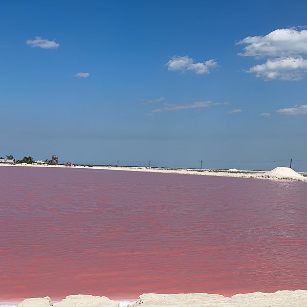 Las Coloradas - 31 tips from 1733 visitors