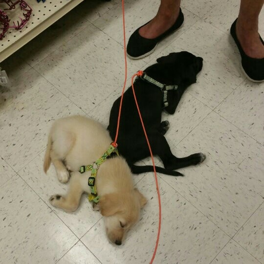 PetSmart - Pet Supplies Store