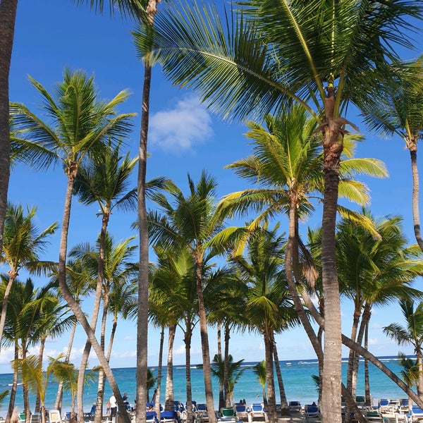 Riu Palace's Beach - 14 tips from 602 visitors