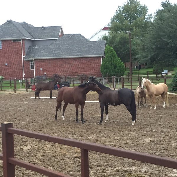 Windmill Stables Of Spring Park - Farm