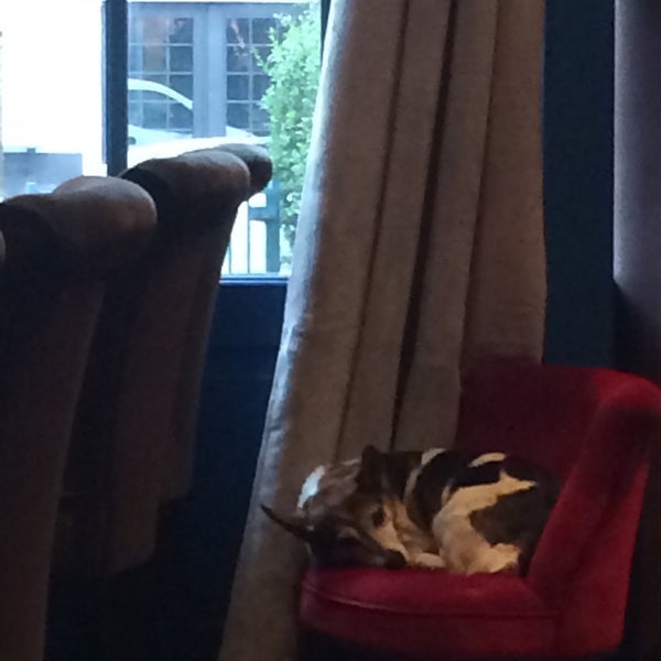 Le Blue Lady Pub - Coeur de Ville - 9 tips