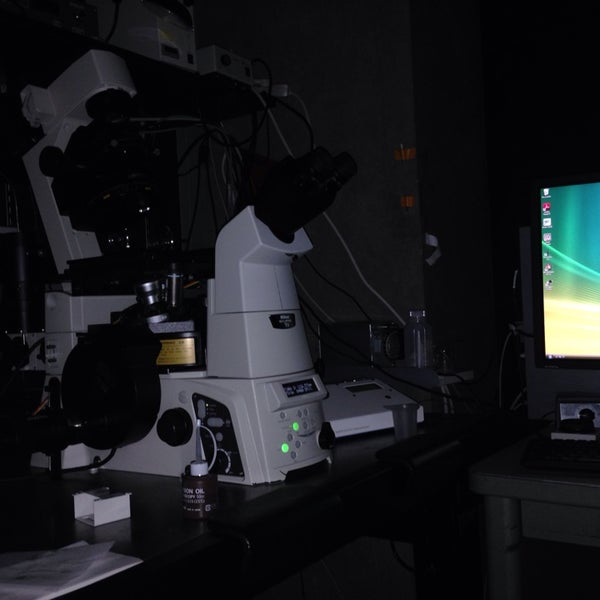 Nikon microscope - College Lab in University City