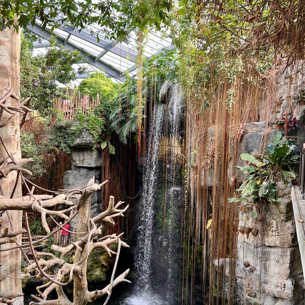 Lied Jungle - 10 tips