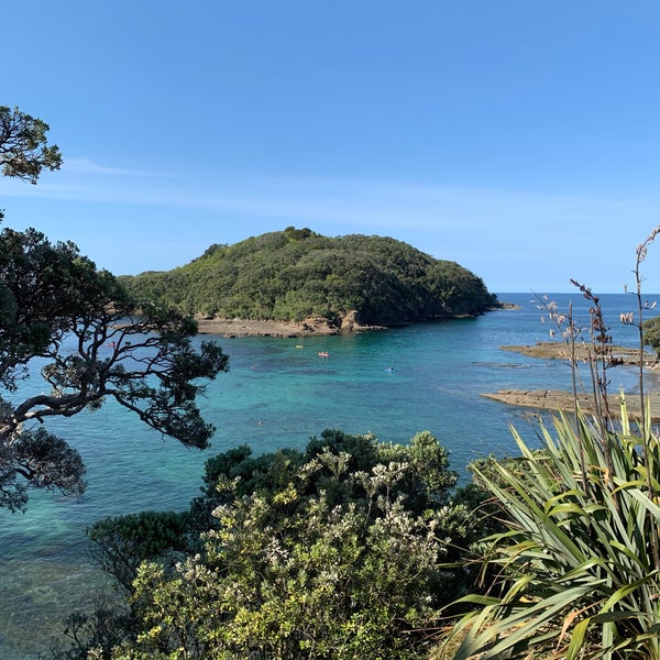 Mahurangi Island / Goat Island - Island