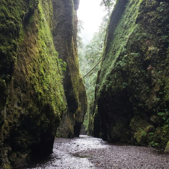 Oneonta Gorge (Now Closed) - Other Great Outdoors in Portland