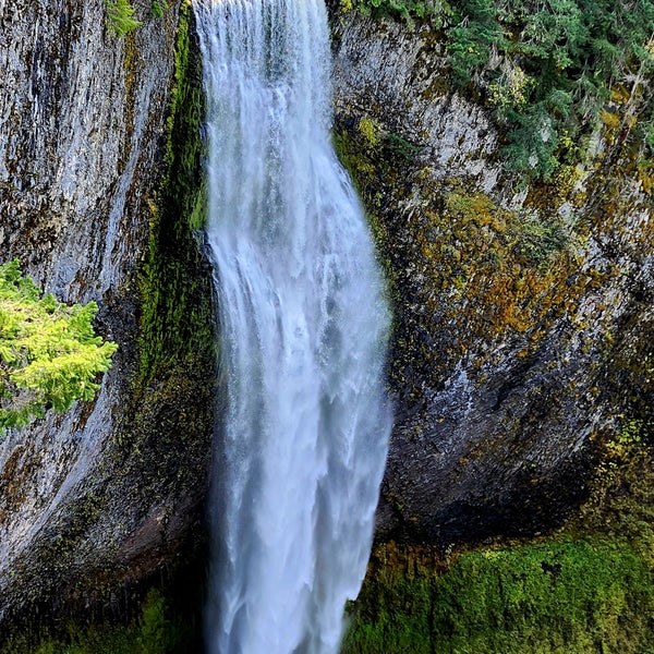 Salt Creek Falls