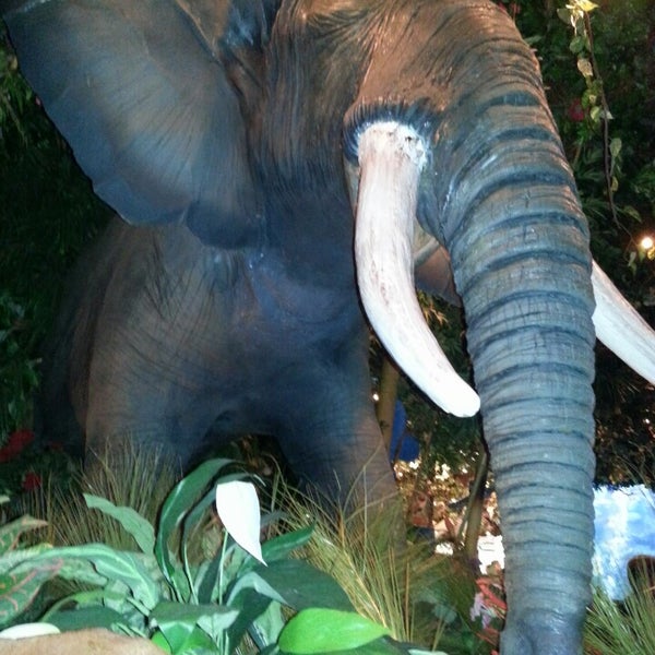 Rainforest Cafe - American Restaurant