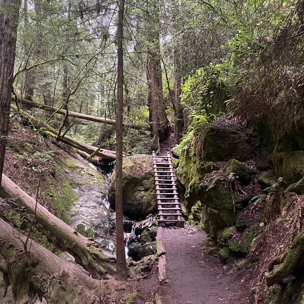 Steep Ravine Trail - 1 tip from 269 visitors