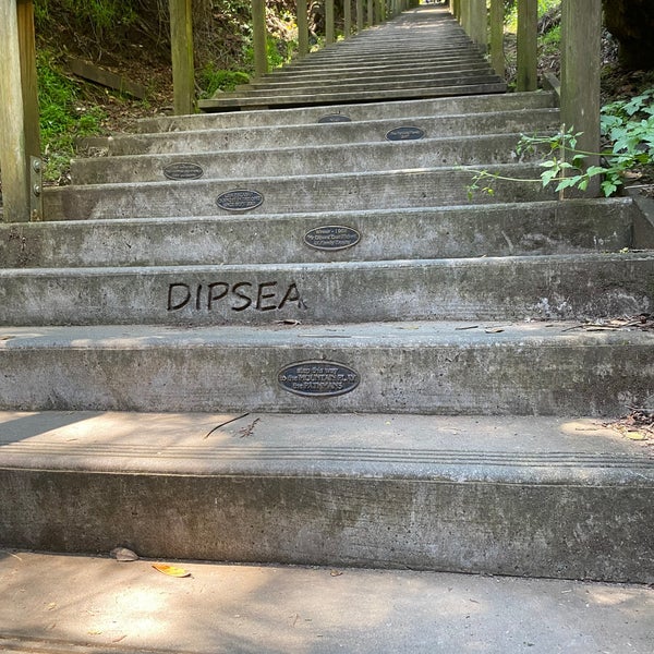 Dipsea Steps - 3 tips from 385 visitors