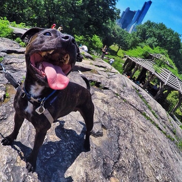 Photos at Summit Rock - Park in New York