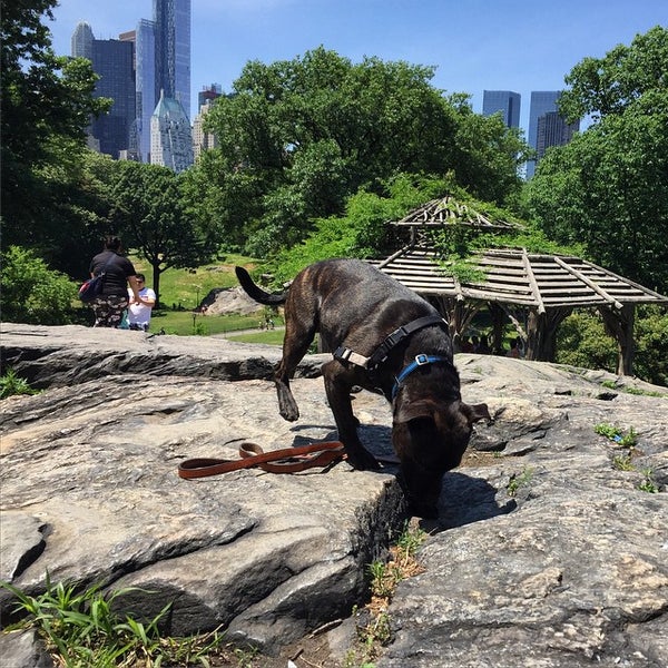 Photos at Summit Rock - Park in New York