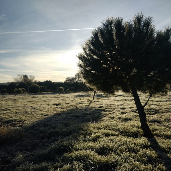 Monte de El Pardo - El Pardo - 1 tip from 178 visitors