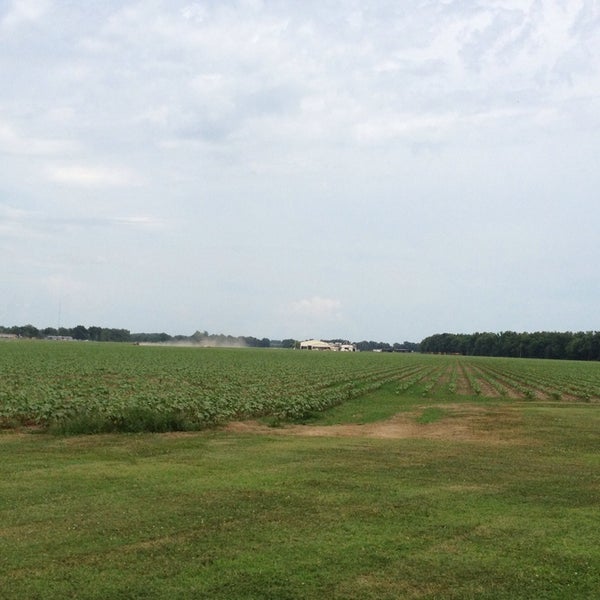 Frogmore Cotton Plantation - Farm in Frogmore