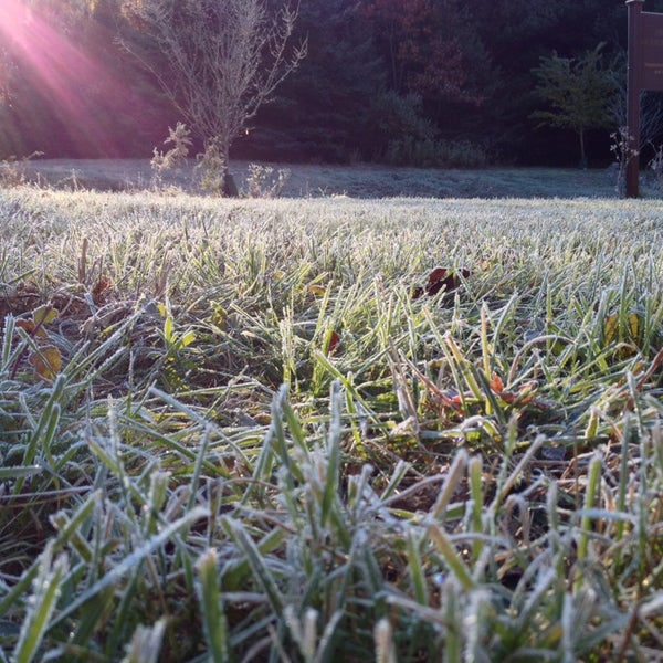 Racebrook Tract - Trail in Orange