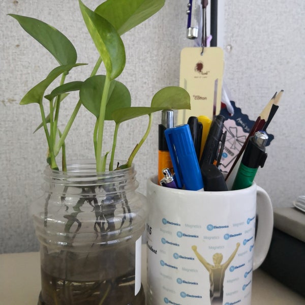 TT Electronics - Kuantan, Pahang