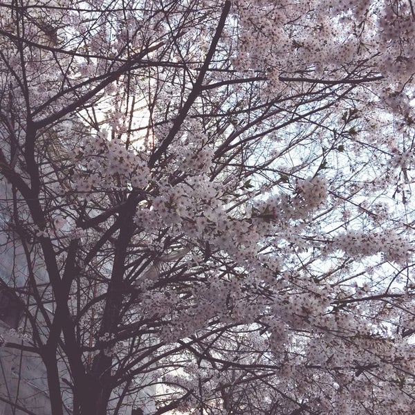Mapo High School - High School in 등촌3동