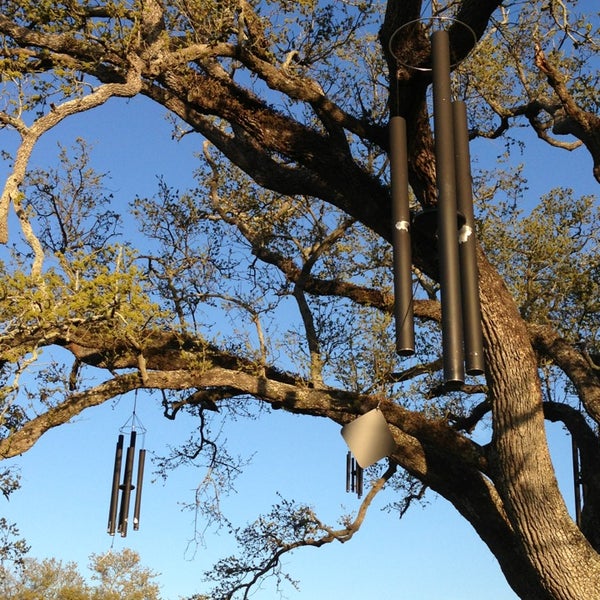 City Park: Wind Chime Tree - Tree in City Park