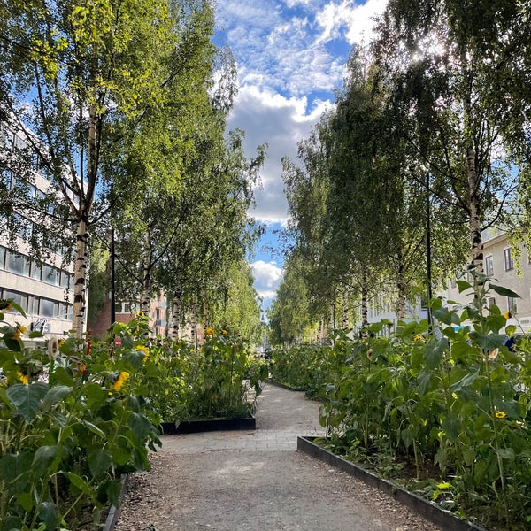 Umeå - City