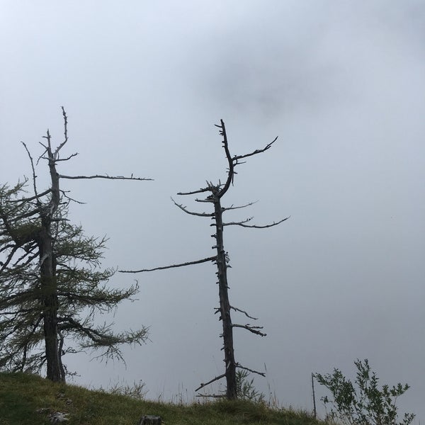 Austro-Hungarian Military Telpher Line Remains From the First World War ...