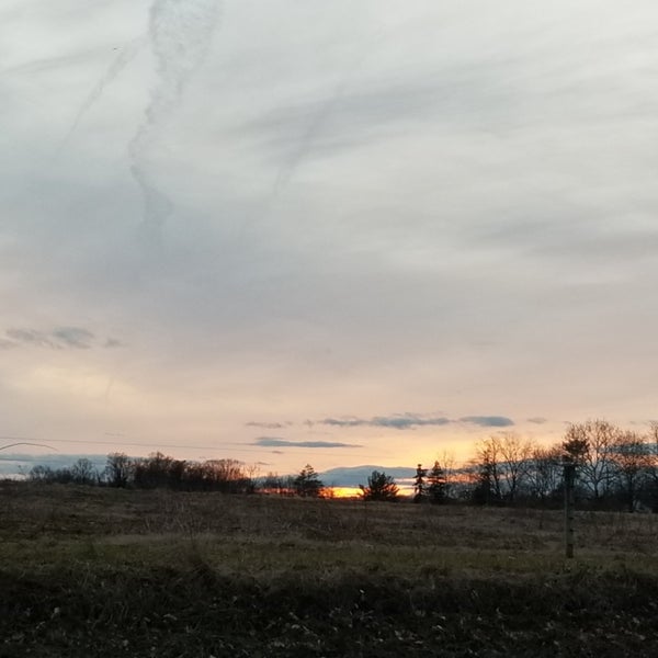 Styer Orchard - Langhorne, PA