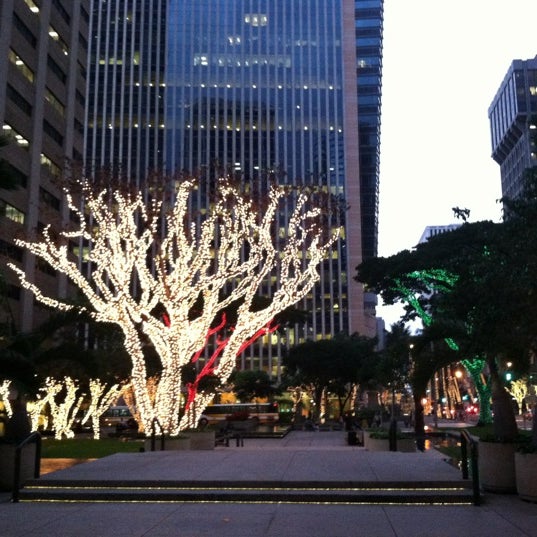 Tamarind Park - Downtown Honolulu - 15 tips