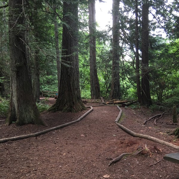 Pictures Around The Lake Trail Issaquah