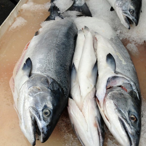 Gemini Fish Market - 1410 NW Gilman Blvd Ste B