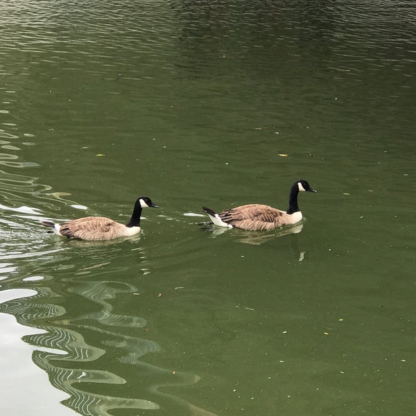 Donnington Bridge - Bridge in Oxford