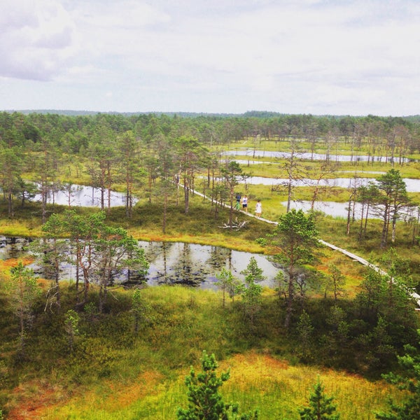 Viru raba - Nature Preserve in Kolga