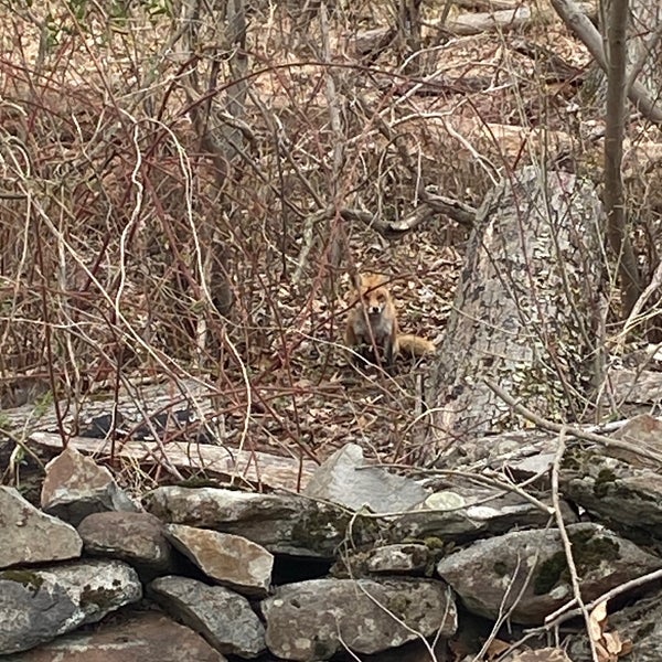 Spangler's Spring - Gettysburg, PA