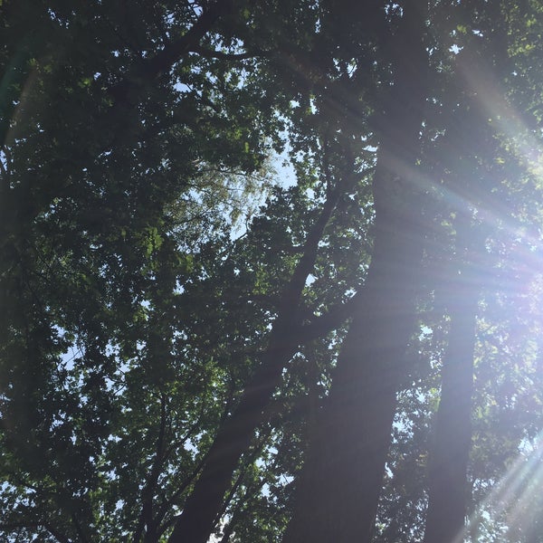 Badestelle Wandlitzsee - Bathing Area