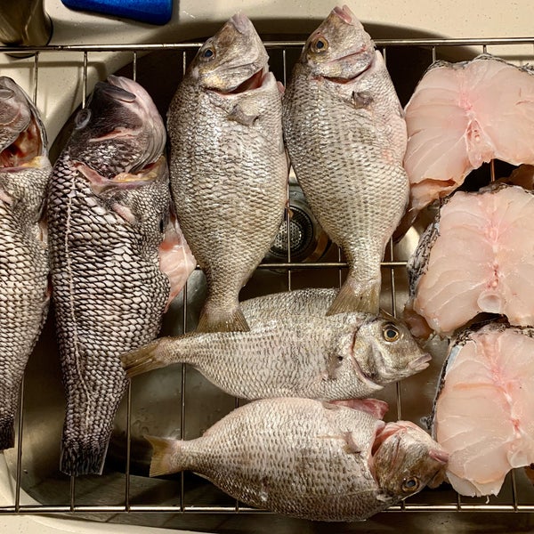 Franks Fish Market II - Restaurant