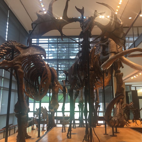 Photos at Beneski Museum of Natural History - 11 Barrett Hill Rd