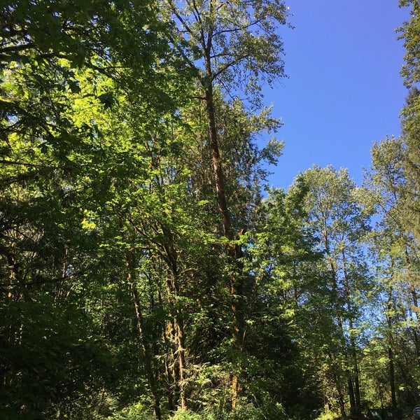 Photos at Camp River Ranch - 33300 NE 32nd St