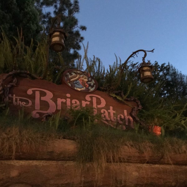 Briar Patch - The Anaheim Resort - 4 tips