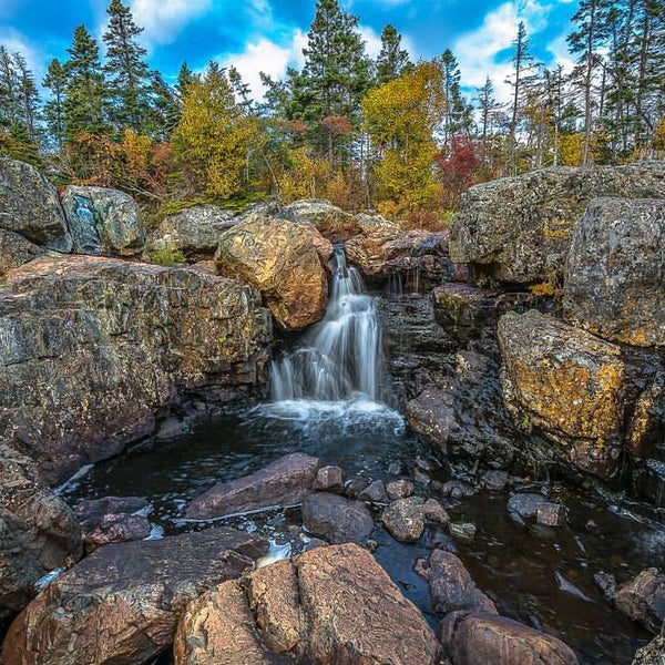 Manuels River - 1 tip