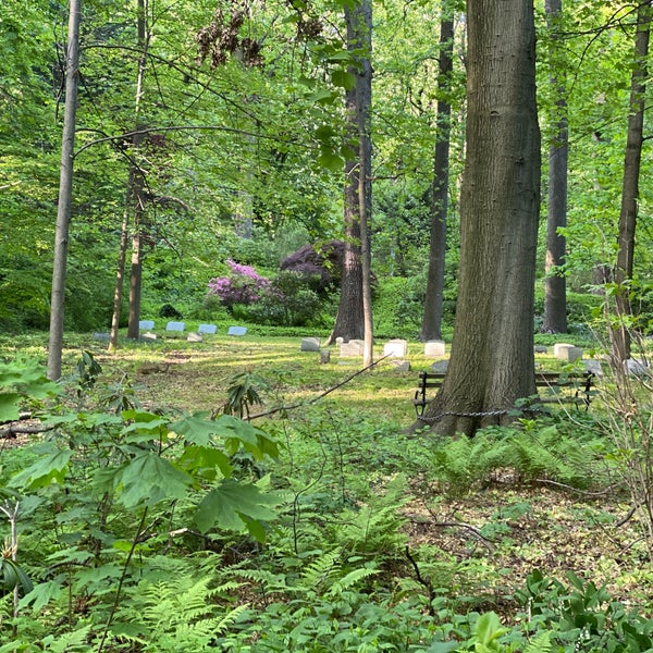 Photos at Friends Cemetery - Prospect Park - Brooklyn, NY